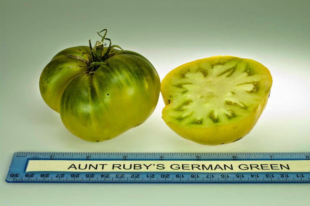 Tarım Siteniz: Domates Çeşitleri 1 (-A-)