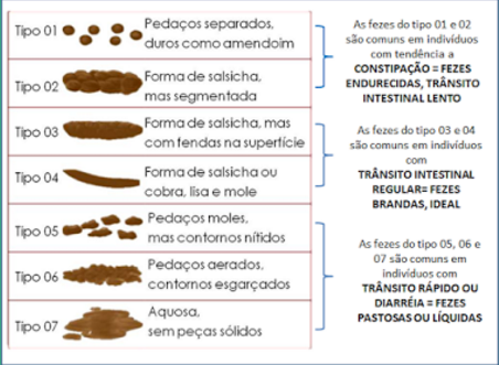 Buenos Aires Municipio: Os sete tipos de fezes