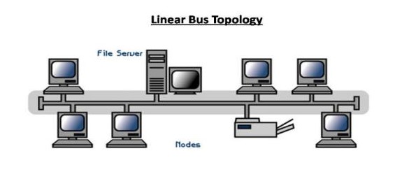 Penjelasan dan Jenis Topologi Jaringan Komputer