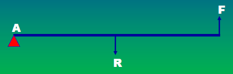 BIOMEKANIKA 4 (PENGUNGKIT) | MATA PENGETAHUAN