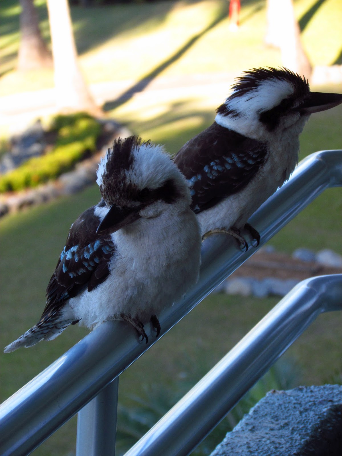 Outback Holiday: Hamilton Island - Escape Beach