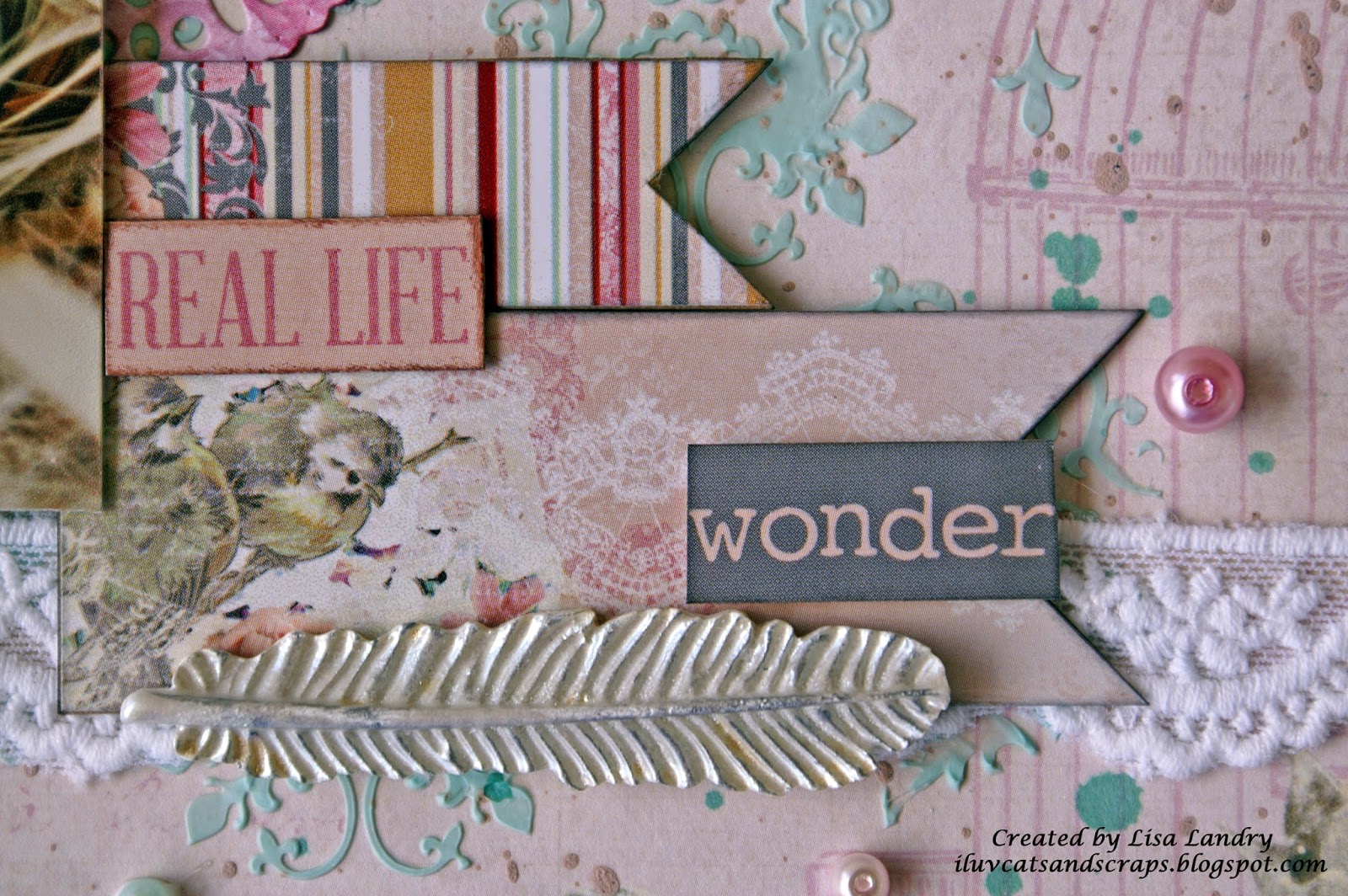 iluvcats and scraps: Real Life Wonder