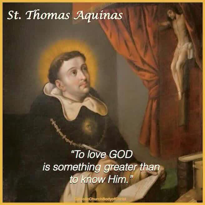Saint Thomas Aquinas Quotes