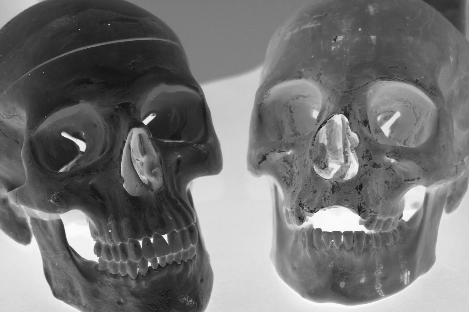 Hayley Probert Level 3 Art and Design