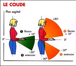 Fracture rare du coude | Un Jour En Chirurgie Orthopedique Et ...