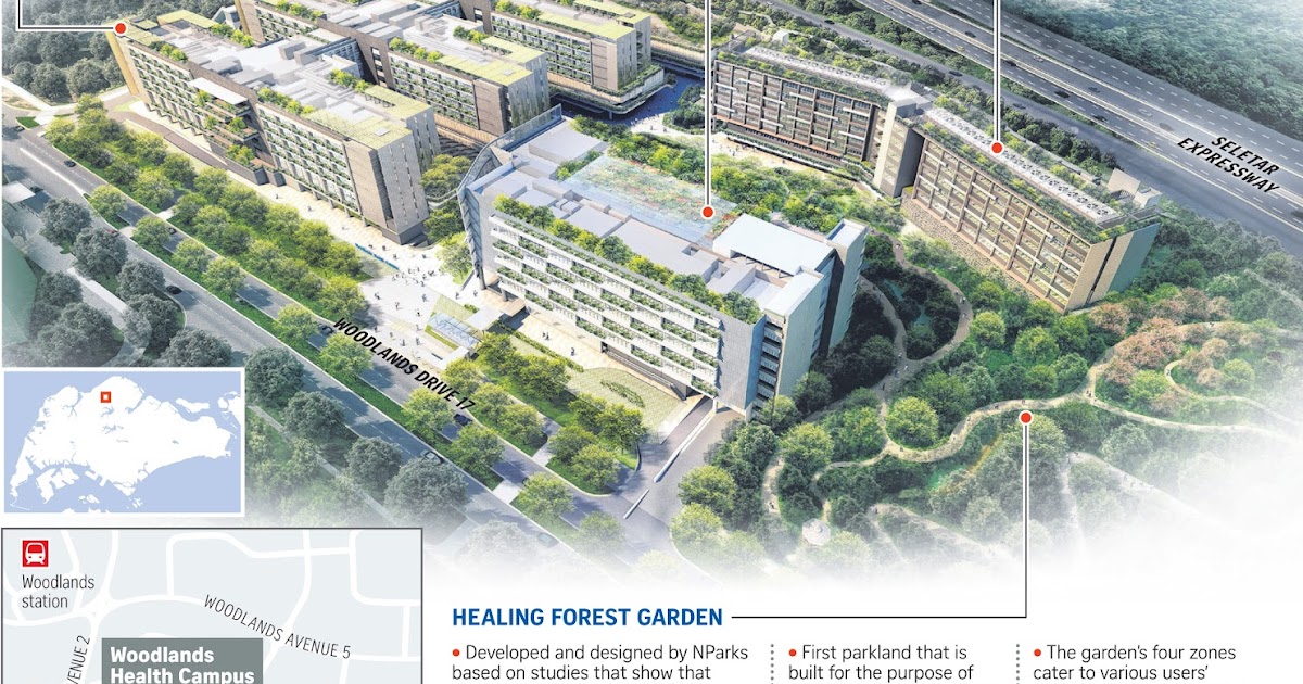 If Only Singaporeans Stopped to Think: Woodlands Health Campus will add ...