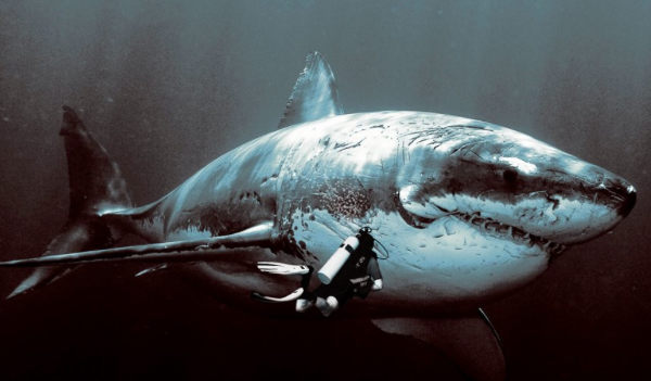 Mundo Tentacular: Mares de Sangue - Ganchos para utilizar Megalodons em ...