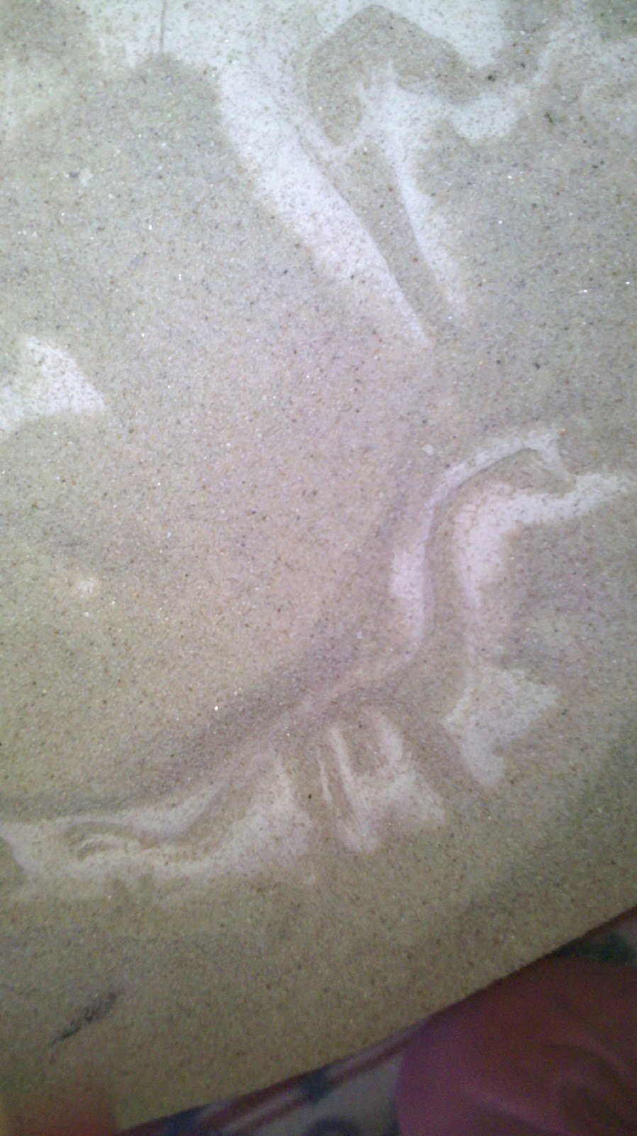 Munchkin and Bean: Dinosaur Fossil Dig