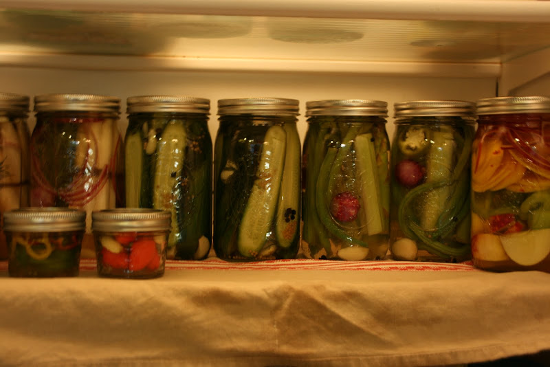 vignette design: Making Tourshi