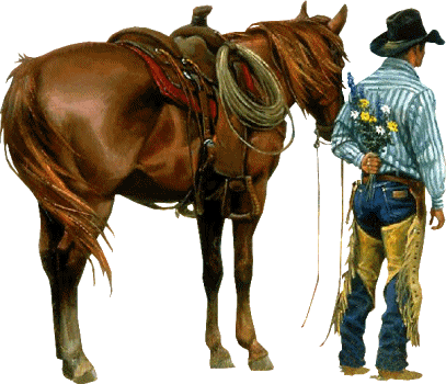 Konie jak marzenie: Konie gify