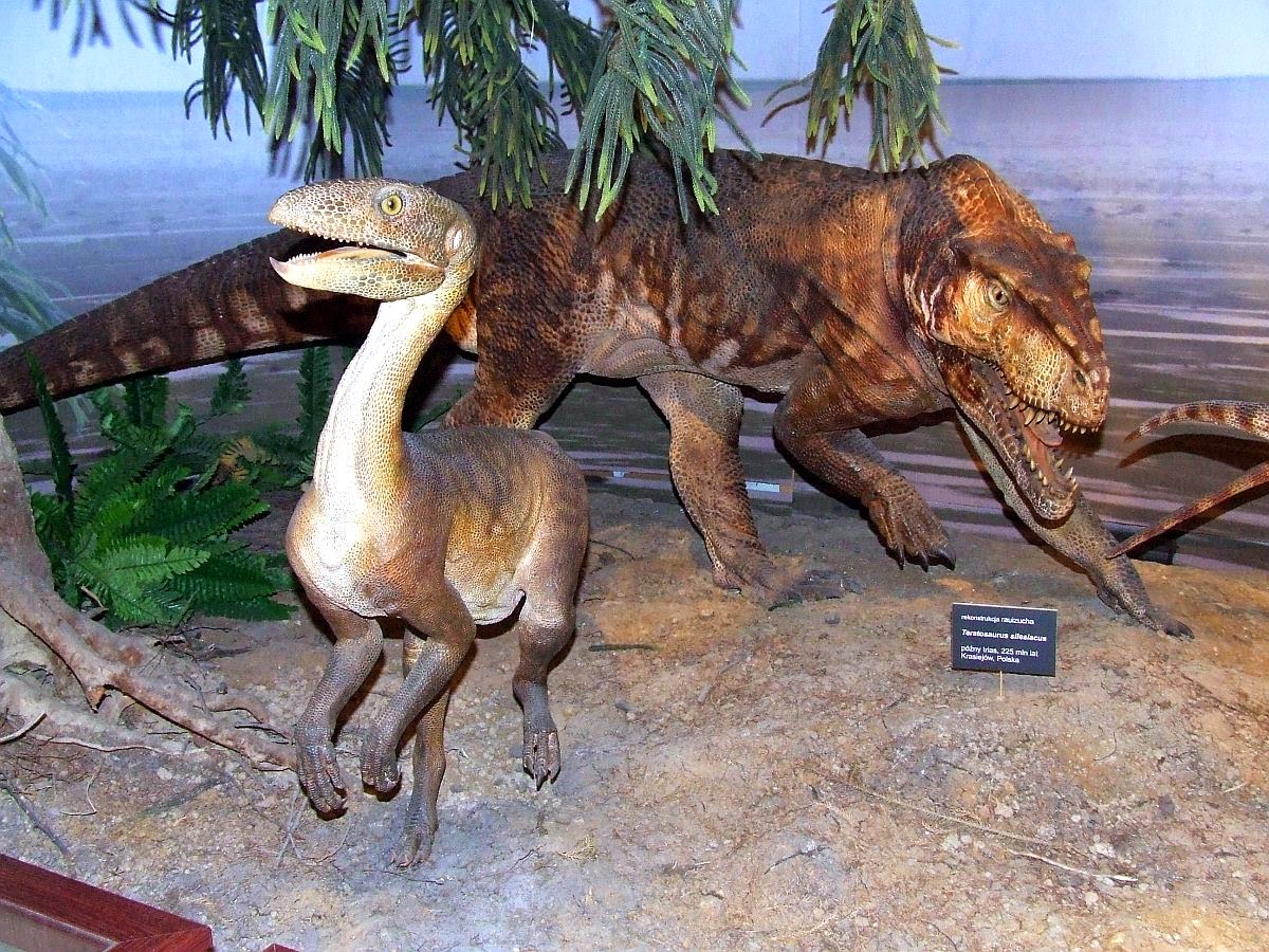 What happens when a non-accredited paleontology fan blogs: Prehistoric ...