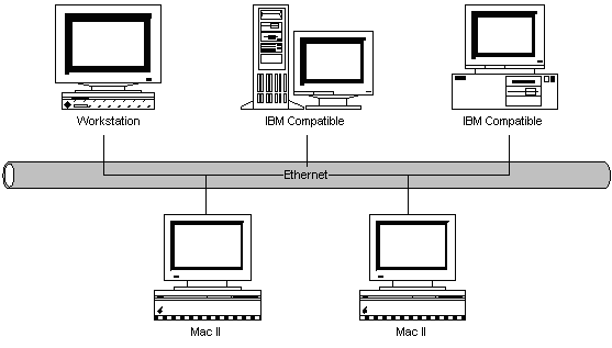 World and Knowledge: Multi-Bus and Hybrid Topology