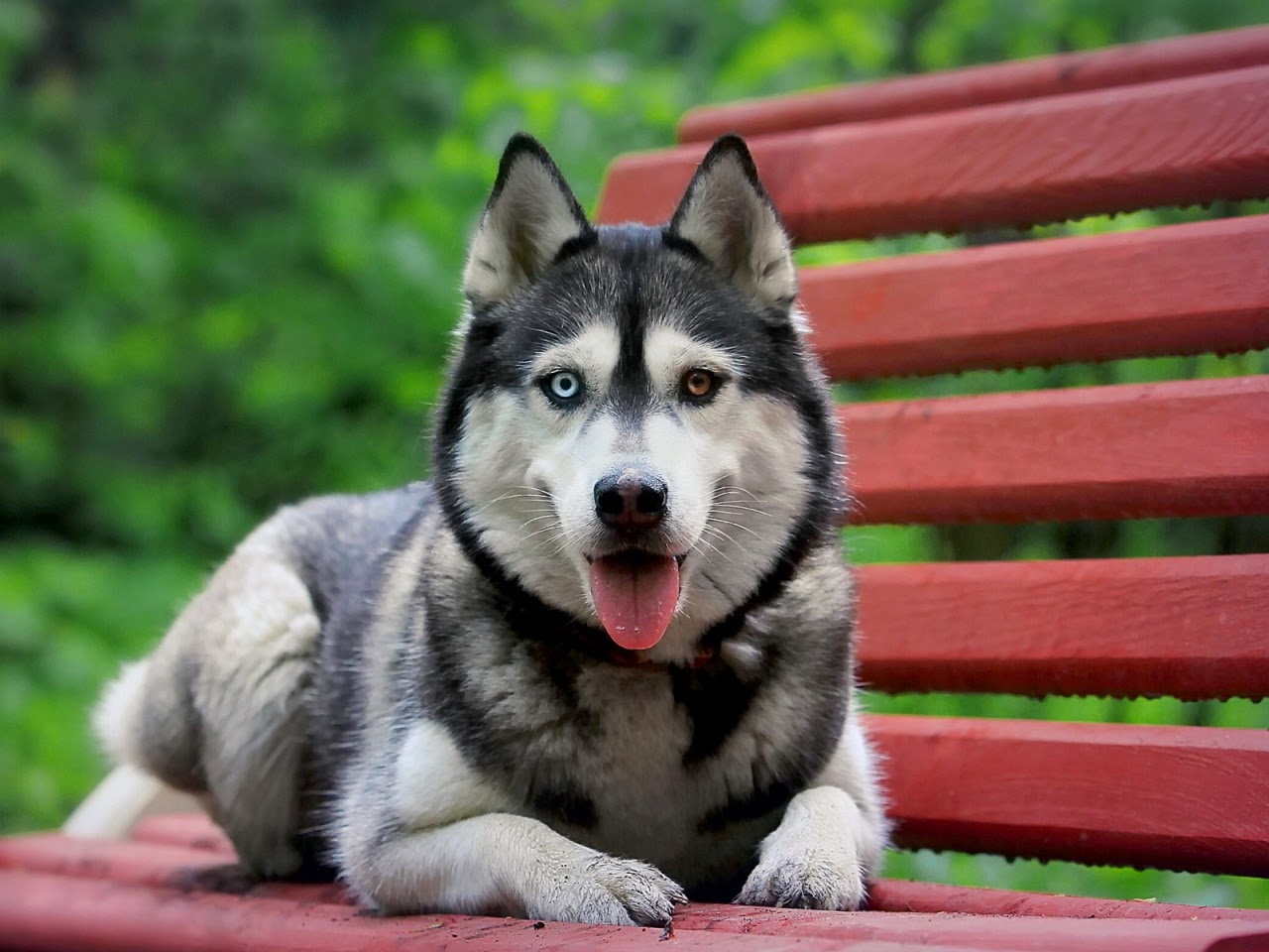 Berpikir Jorok Gambar Jorok : Foto Jorok Tapi Lucu - Gambar Ngetrend ...