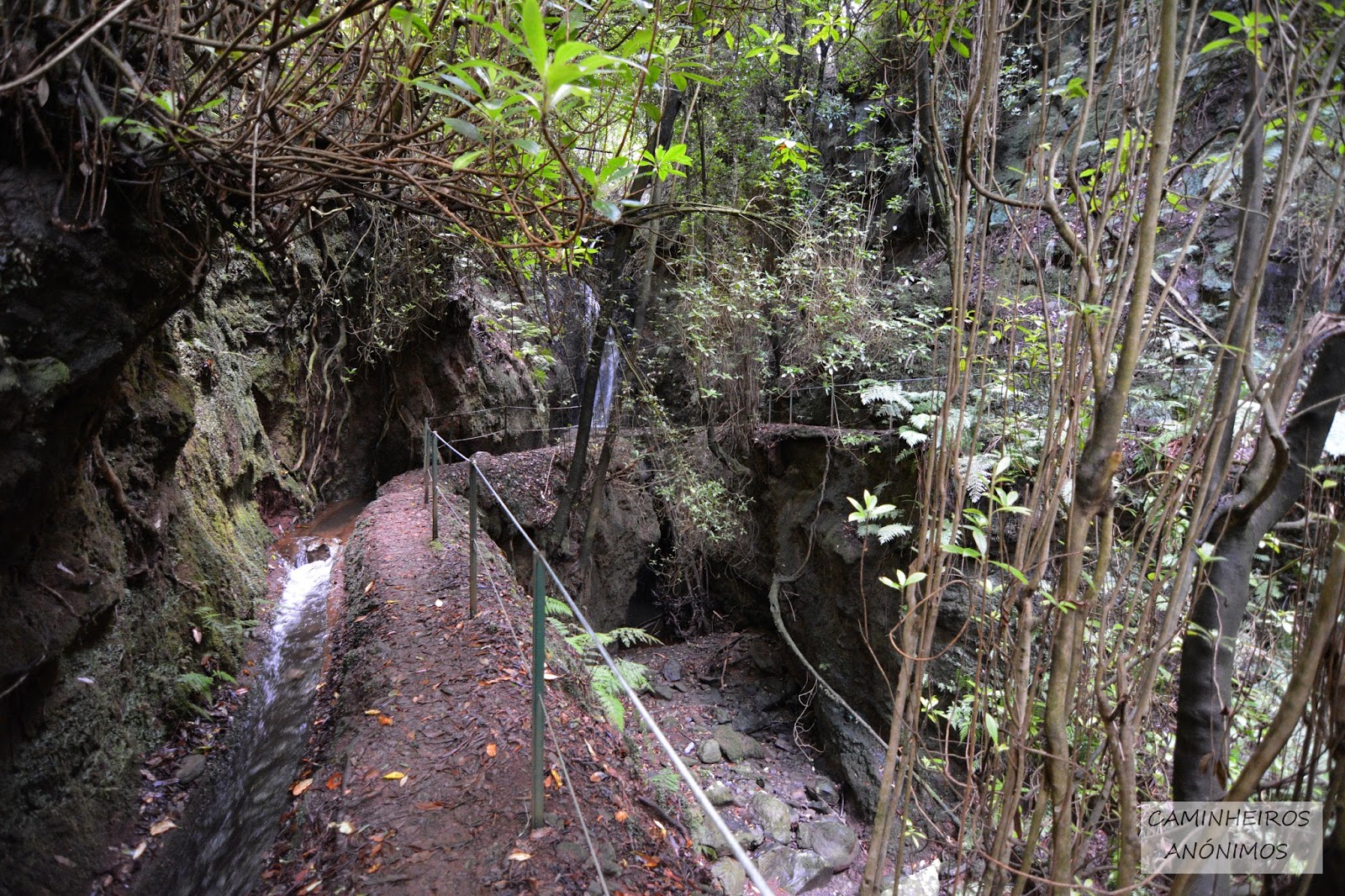 Caminheiros Anónimos Levadas da Madeira : Levada Grande (Achadas da Cruz)