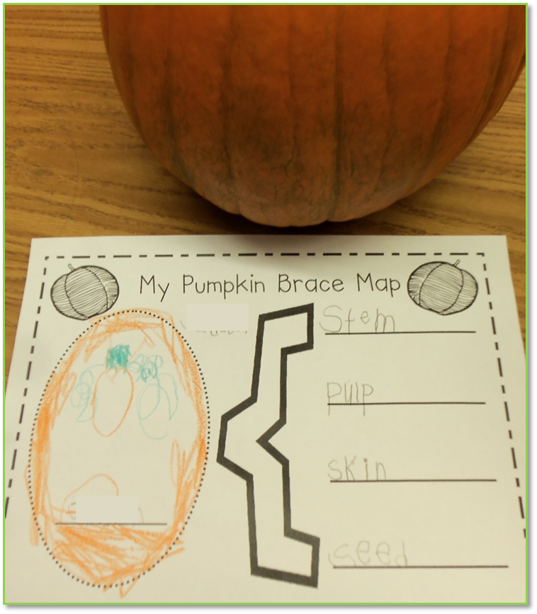 Dream Big Kinders: All about Pumpkins! and a FREEBIE!