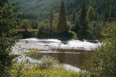 FunToSail: Moyie Springs Reservoir and Moyie River, Boundary County, Idaho