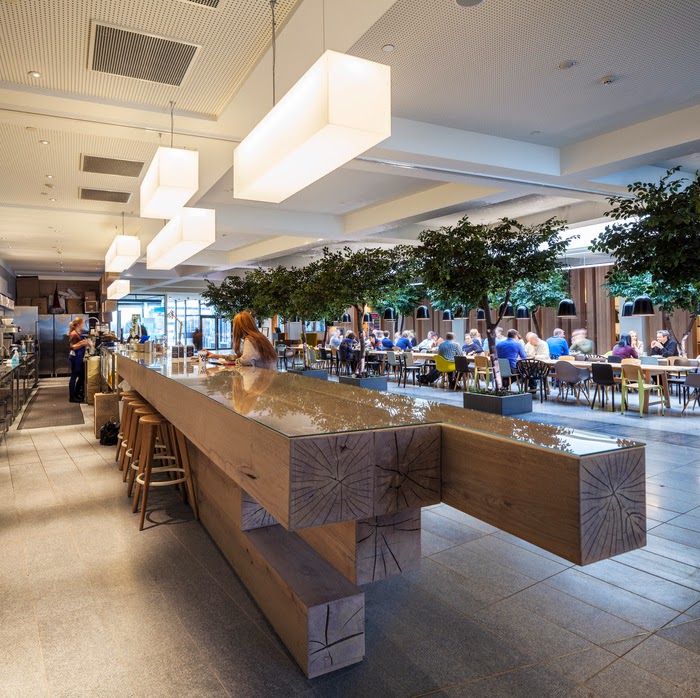 SUPERIOR NOTION DESIGN: Chapter 4: Organization