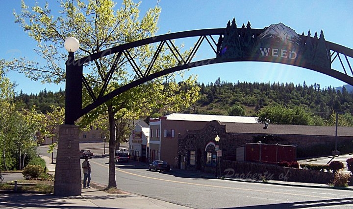 Wandering Wednesday - Weed, California - ButterflyInTheAttic