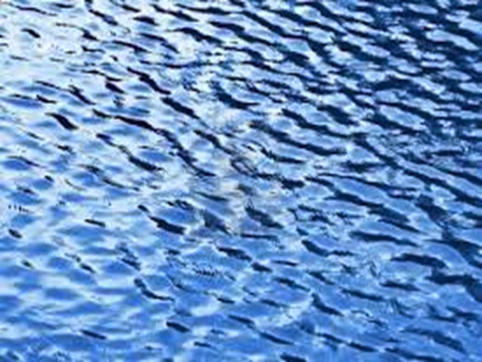 REINO ELEMENTAL: ELEMENTO AGUA: