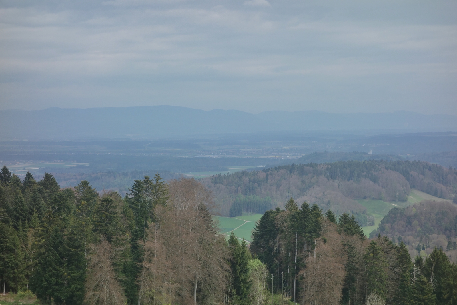 Wieder mal auf den Bantiger