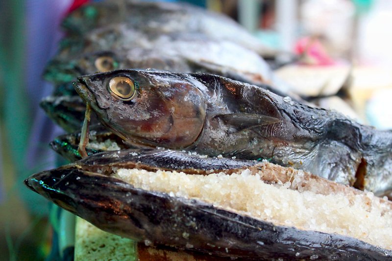 The other side of variety | dead-hungry