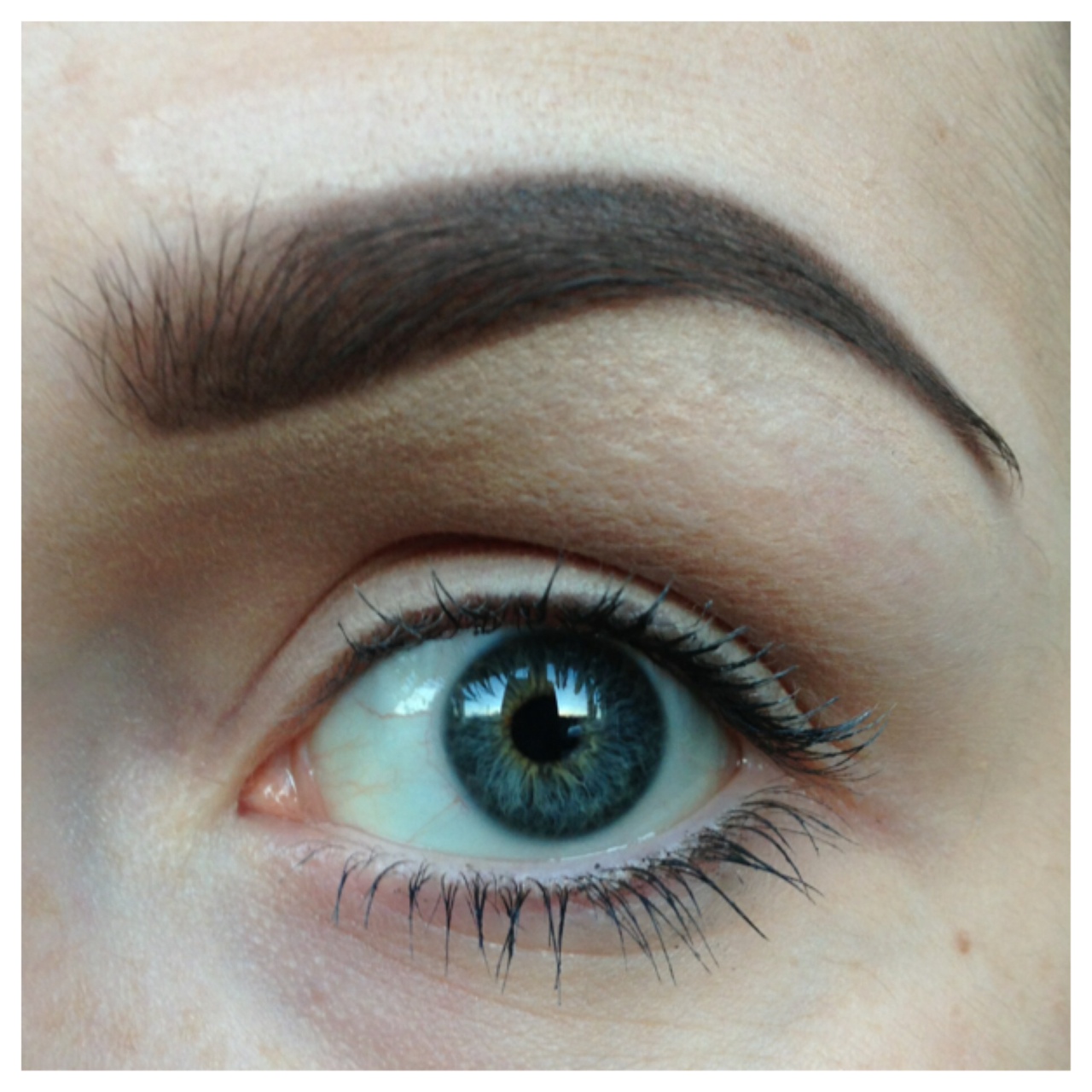 Shannon Bowes: Eyebrow Tutorial (How I Fill In My Eyebrows)