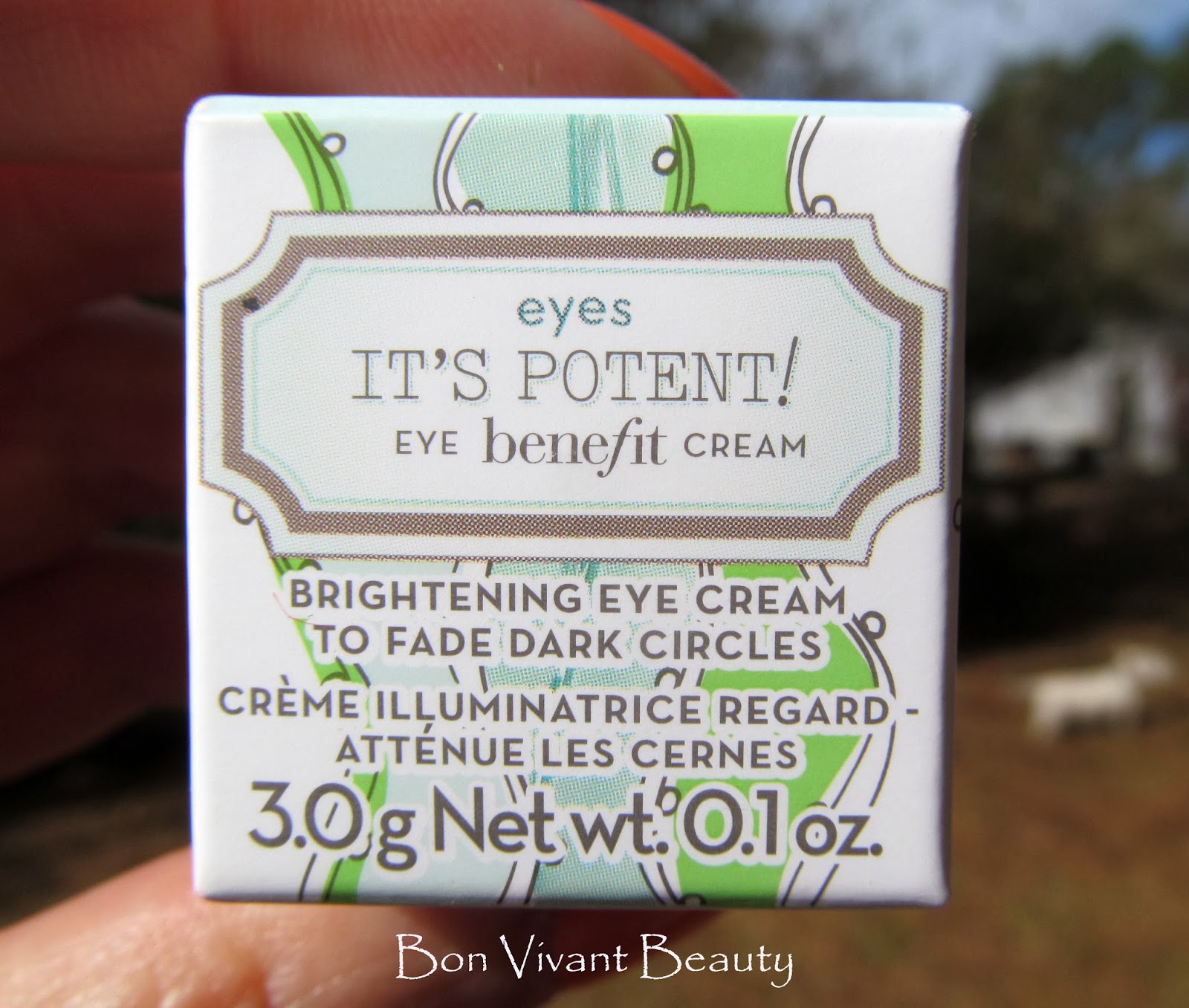 Bon Vivant Beauty: February Birchbox: Step and Repeat