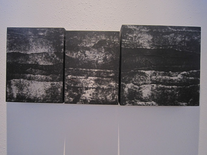 La Fleur du Dimanche: Quelques exposition entre Strasbourg, Paris et l ...