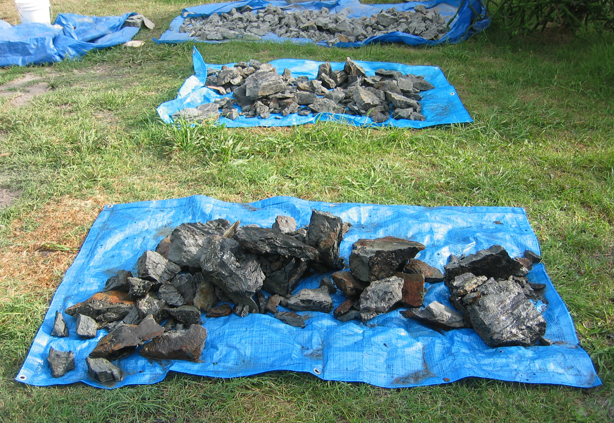 The Great Cretaceous Walk: Dreaming of Dinosaur Dreaming