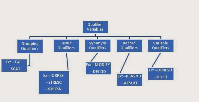 SDTM-Study Data Tabulation Model: Types of Qualifier variables