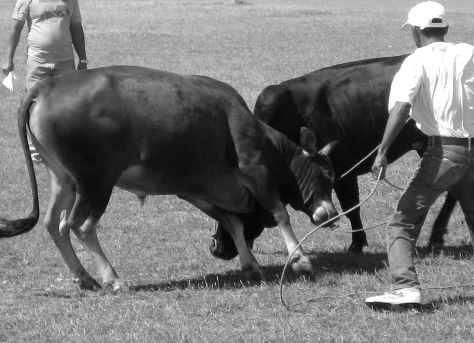 mybeautifulILOILO: PASUNGAY Festival in San Joaquin