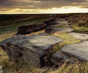 Advanced Kidney Cancer Blog. This blog is to tell my journey with ...