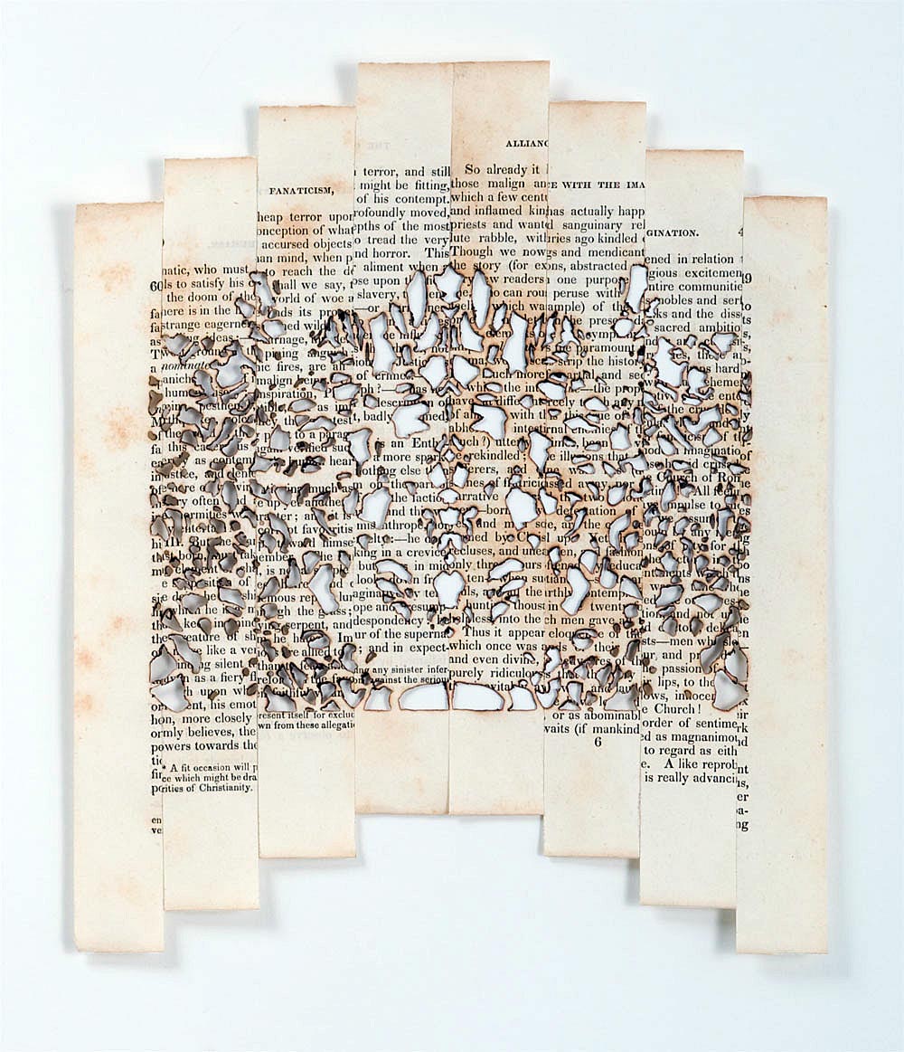 Transformed Volumes Artist Profile: Donna Ruff