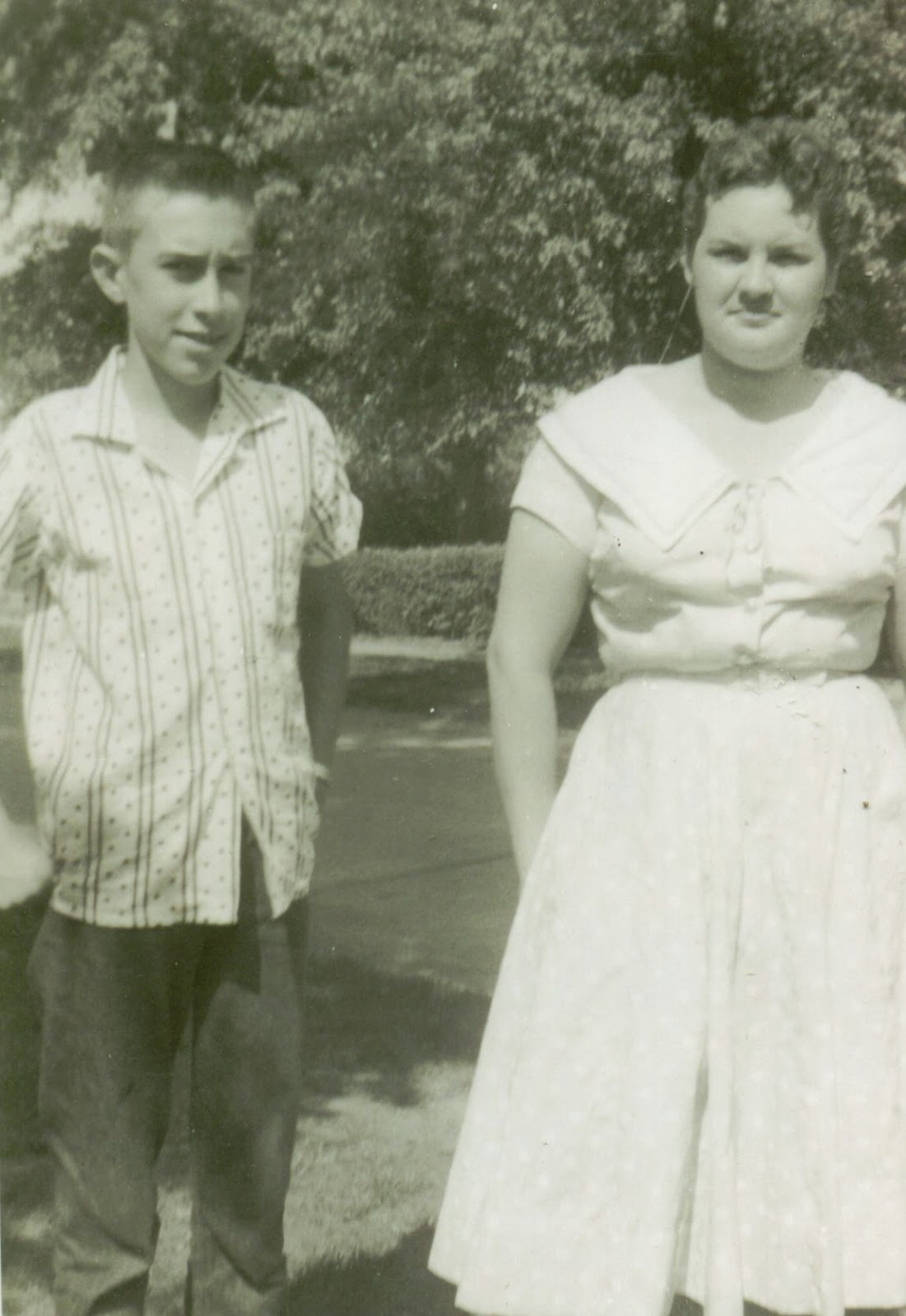 The Story of the Willems Family: The 1950s