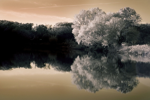 the miir image: Digital Infrared Photography Tutorial