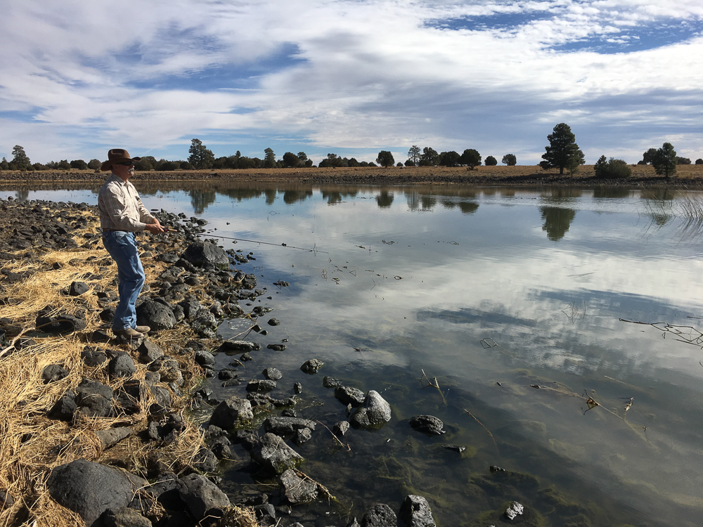 B i r d m a n T r i b e