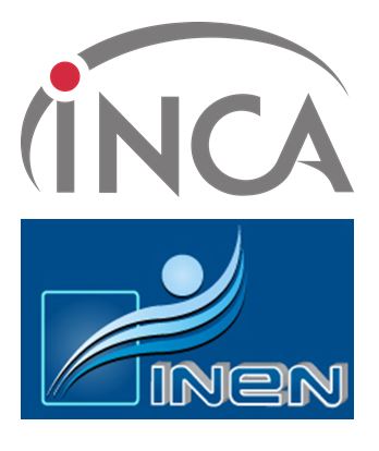 INCA e Inen do Peru firmam cooperação para controle do câncer ~ ALFOB