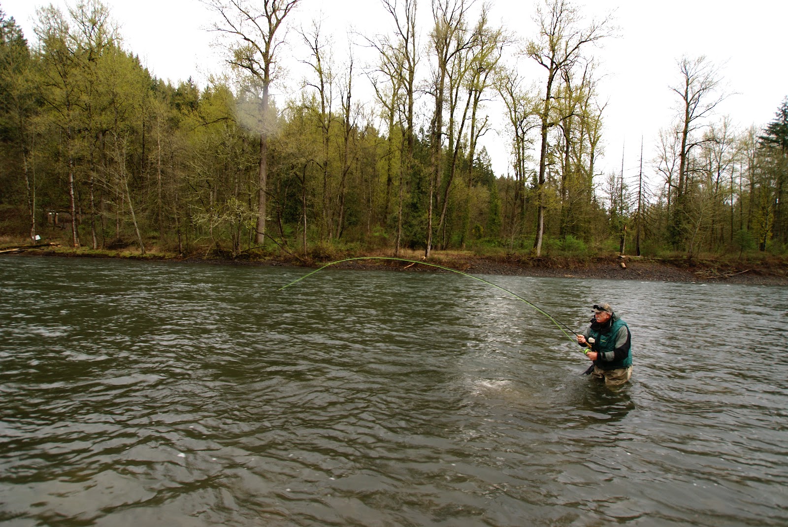 Steelhead Fishing the Clackamas River | Water Time Outfitters