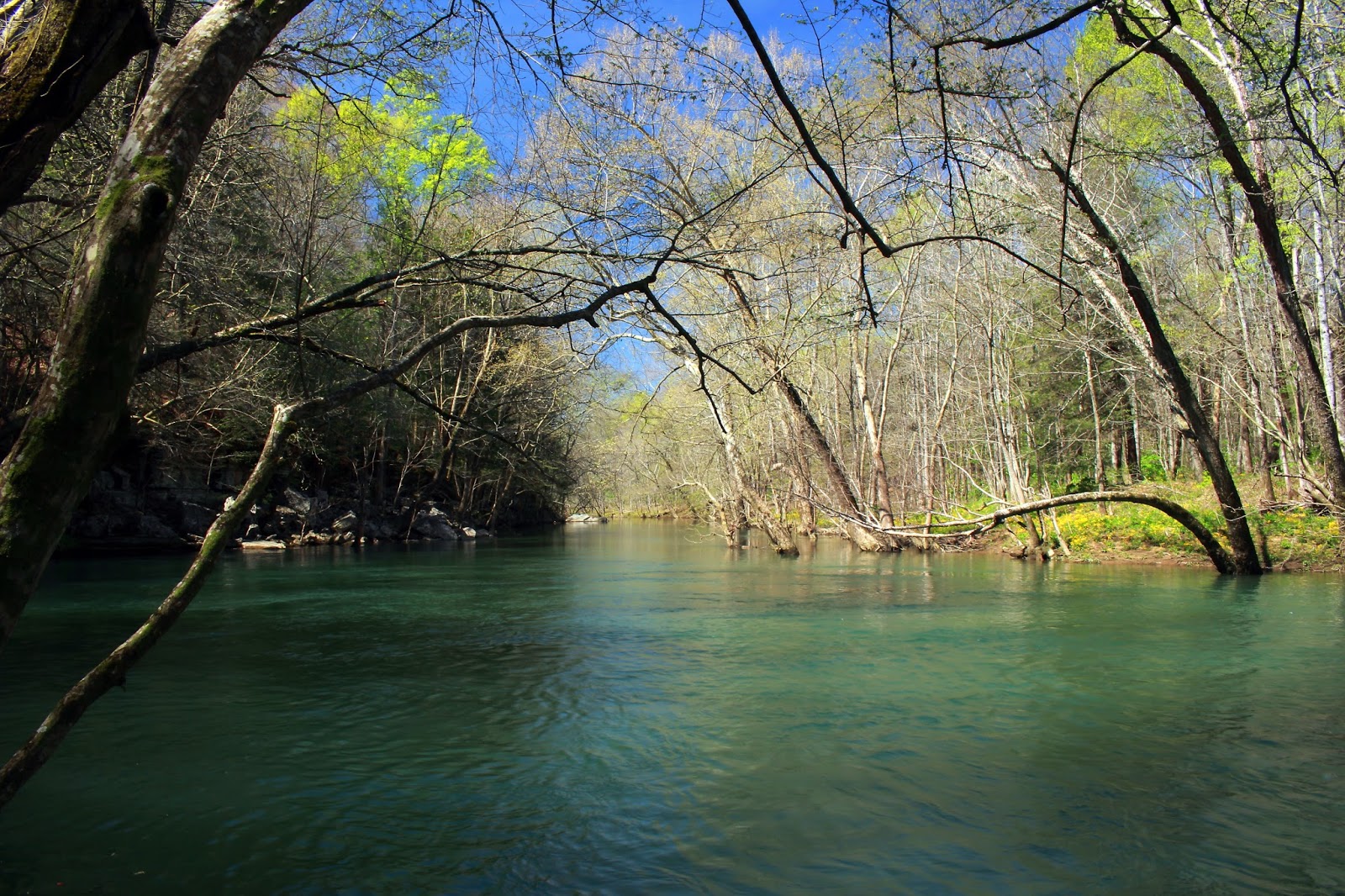 Cumberland Gal: Big Bottom WMA Access Points and Regulations