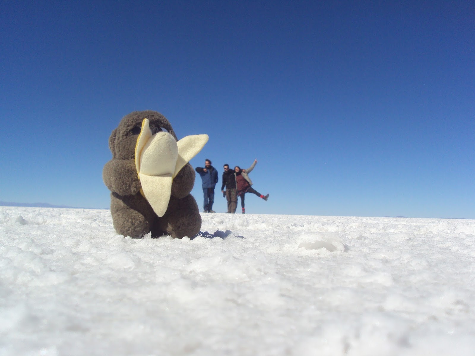 BOLIVIA: 65. Un desierto de sal en Bolivia.