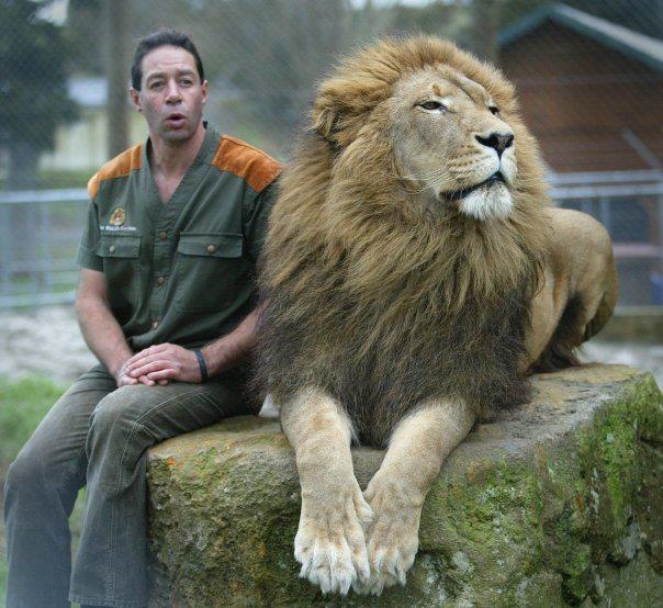 About Wild Animals lion: The Barbary Lion Project