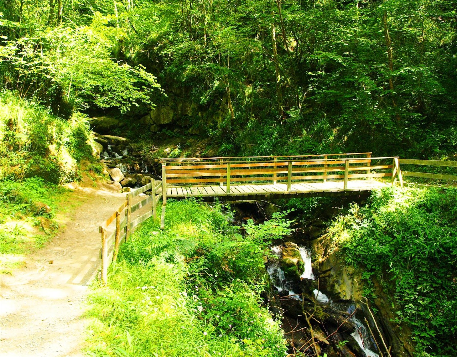 Best Pyrenees Photos: Free Bridge - Larrau - Pyrenees - France