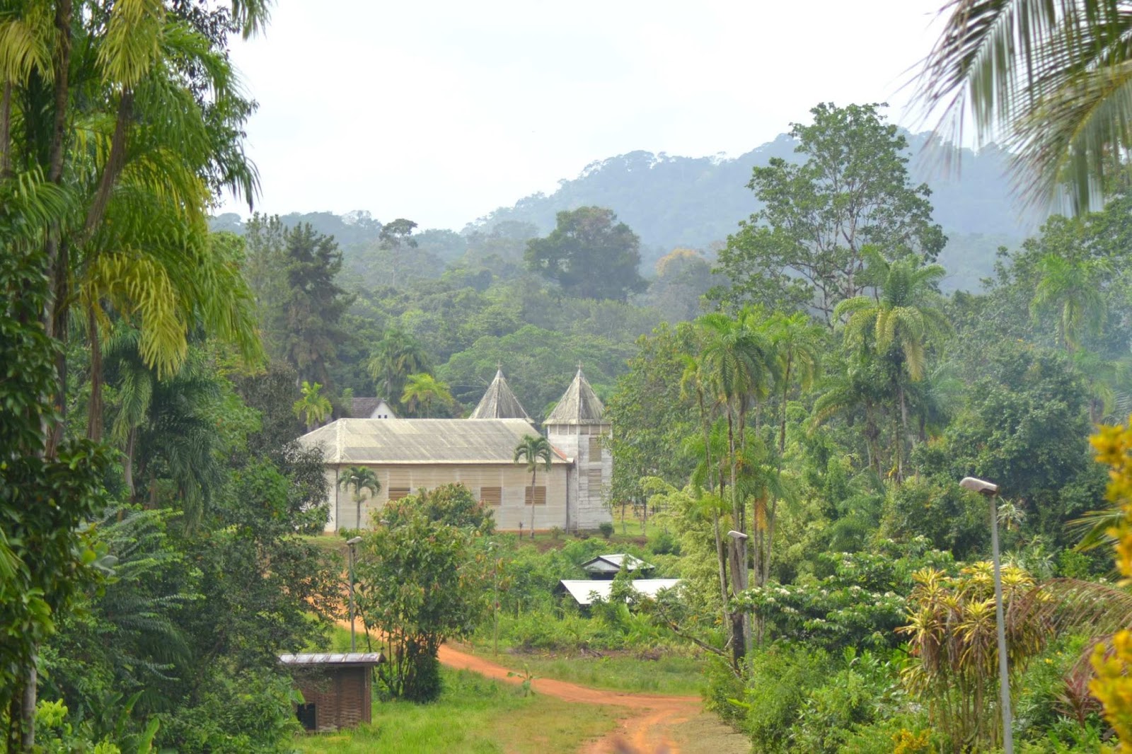 Guyane : un week-end randonnée à Saül. - Les rêveries d'Isisya