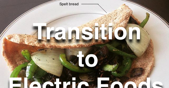 Transitioning to Electric Foods | ManoloRamiro.blogspot.com