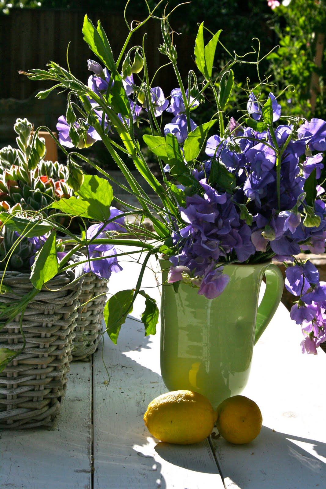 The Polished Pebble: Sweet Pea Trellis