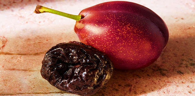 Pak News Today: Health Benefits Of Dry Prunes And Reasons To Eat More ...