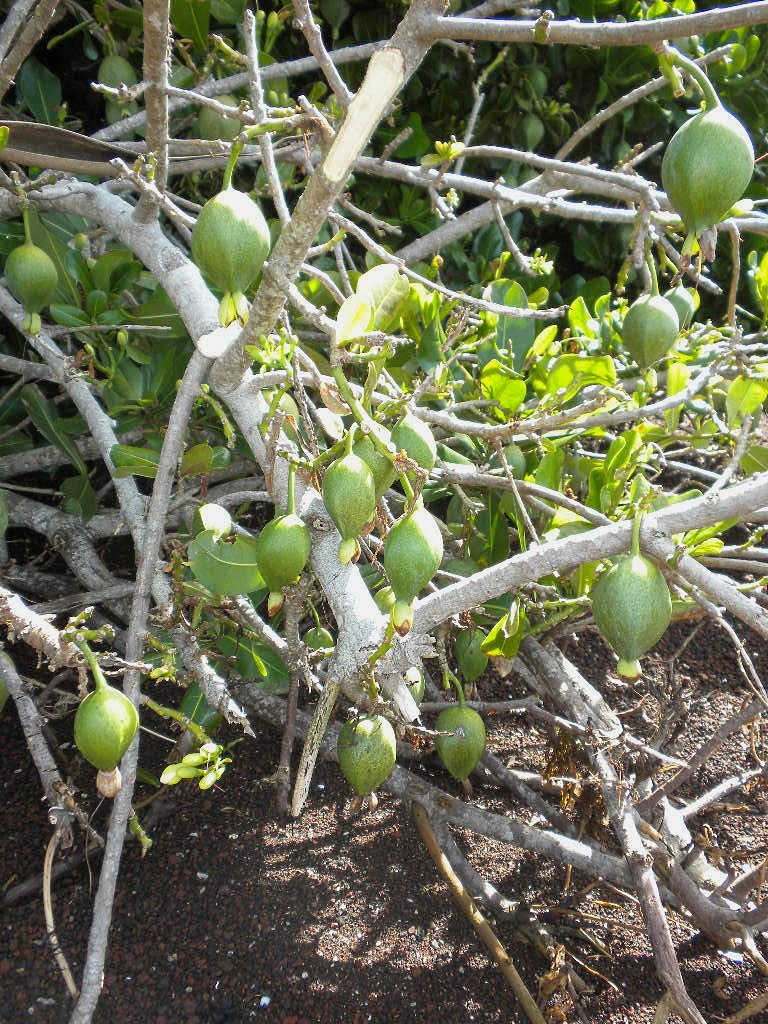 GODventureZ -- LIFE! through Pictures: VIUBANI -- Easter Holiday Picnic