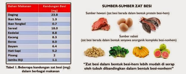 Makanan Tinggi Zat Besi Untuk Wanita Hamil Elak HB Rendah - Vitamin Saya