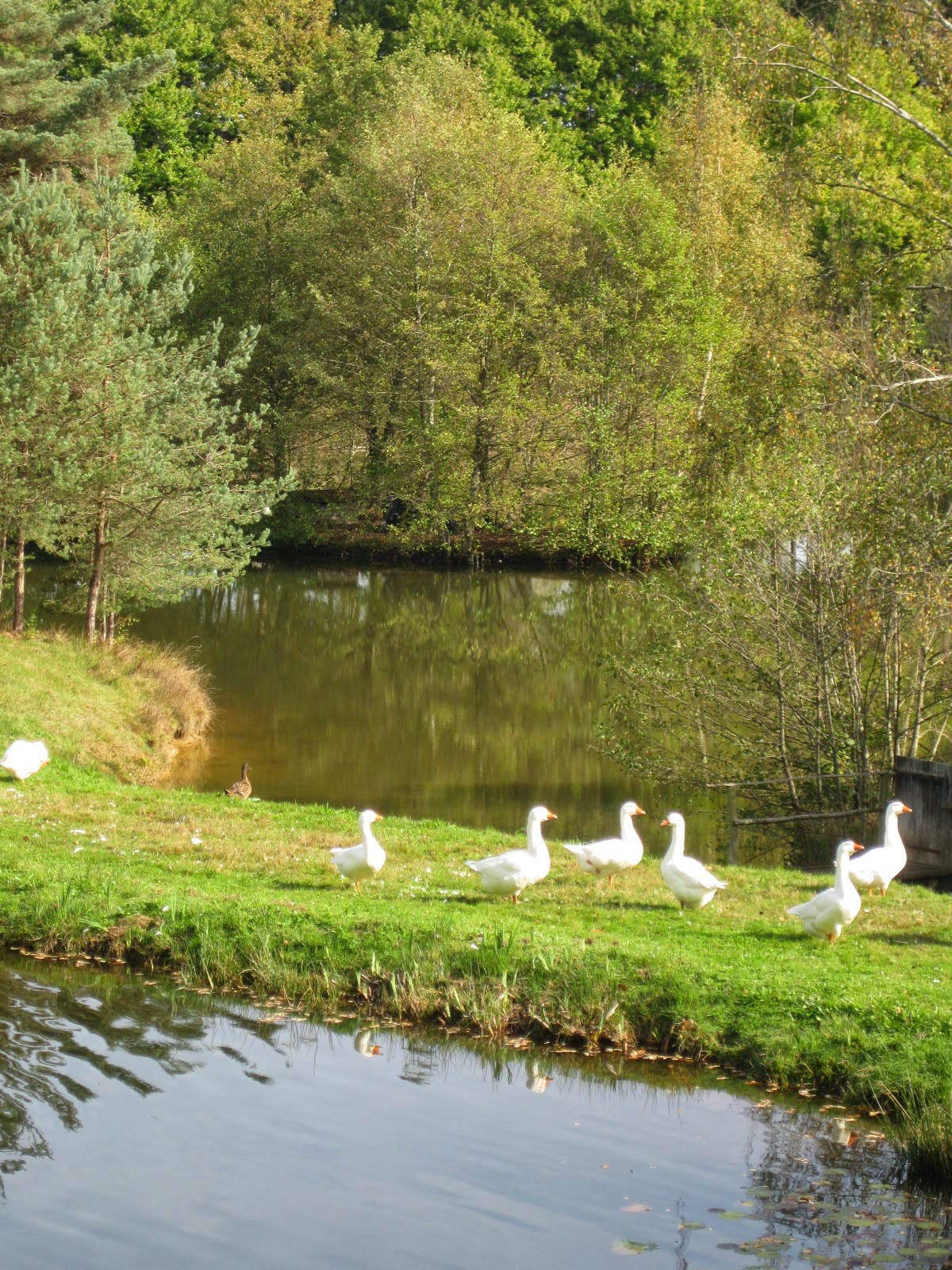 Bourdoux (Jumilhac-le-Grand, Dordogne): 2014