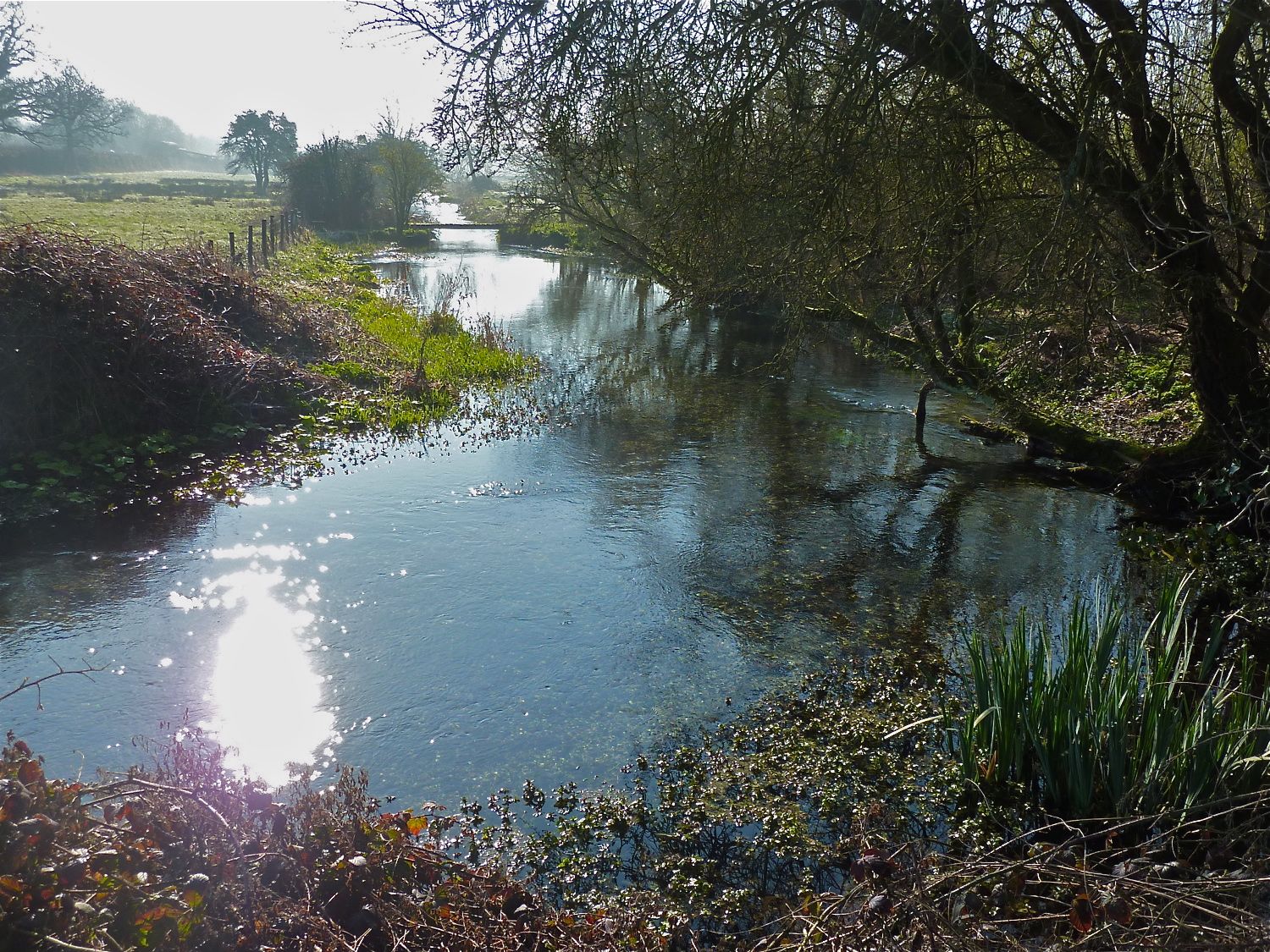 HUGH MILES - WILDLIFE ADVENTURES: LIQUID GOLD